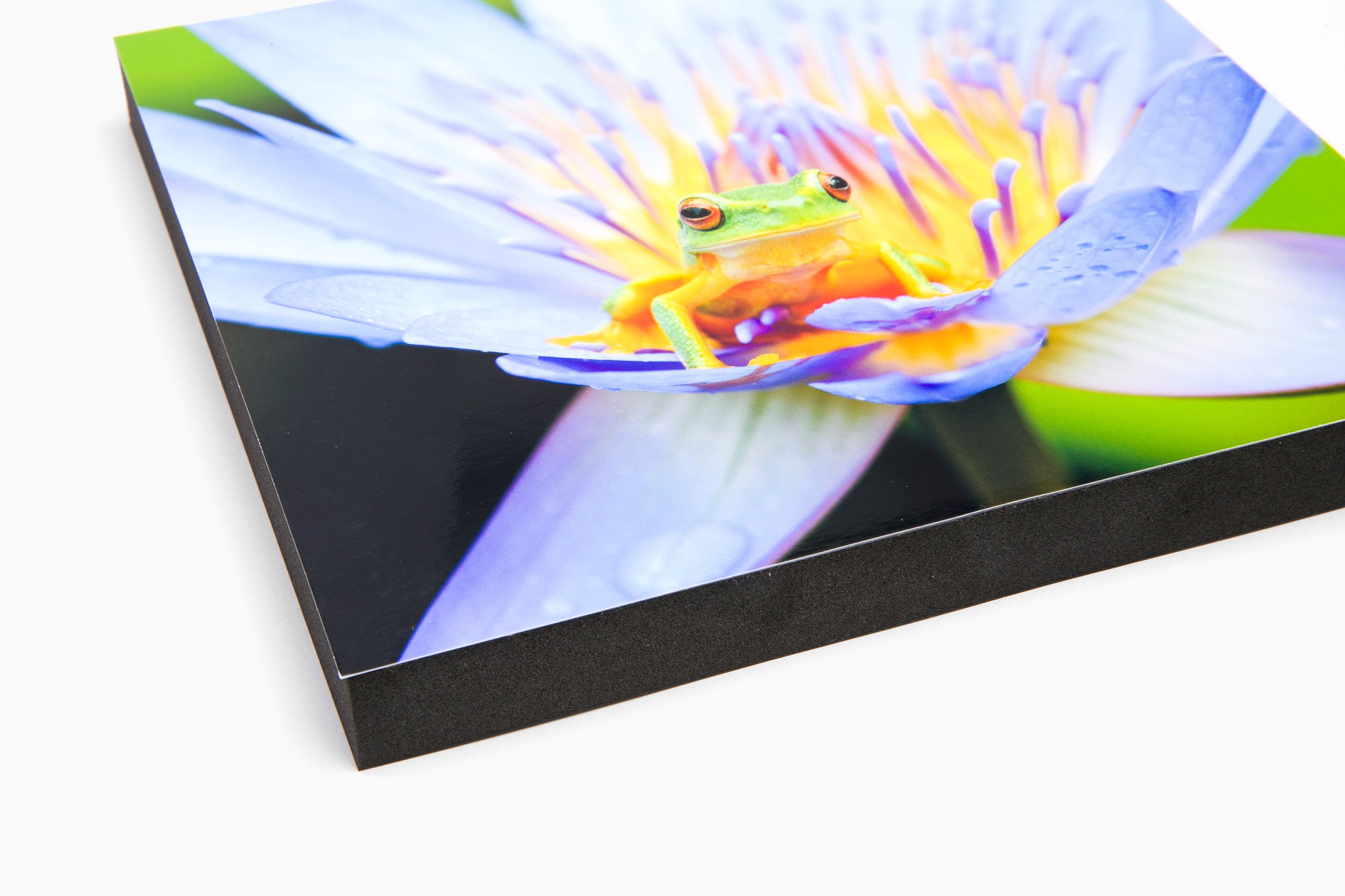 #1 Photo Mounting Solution for Perfect Image Placement